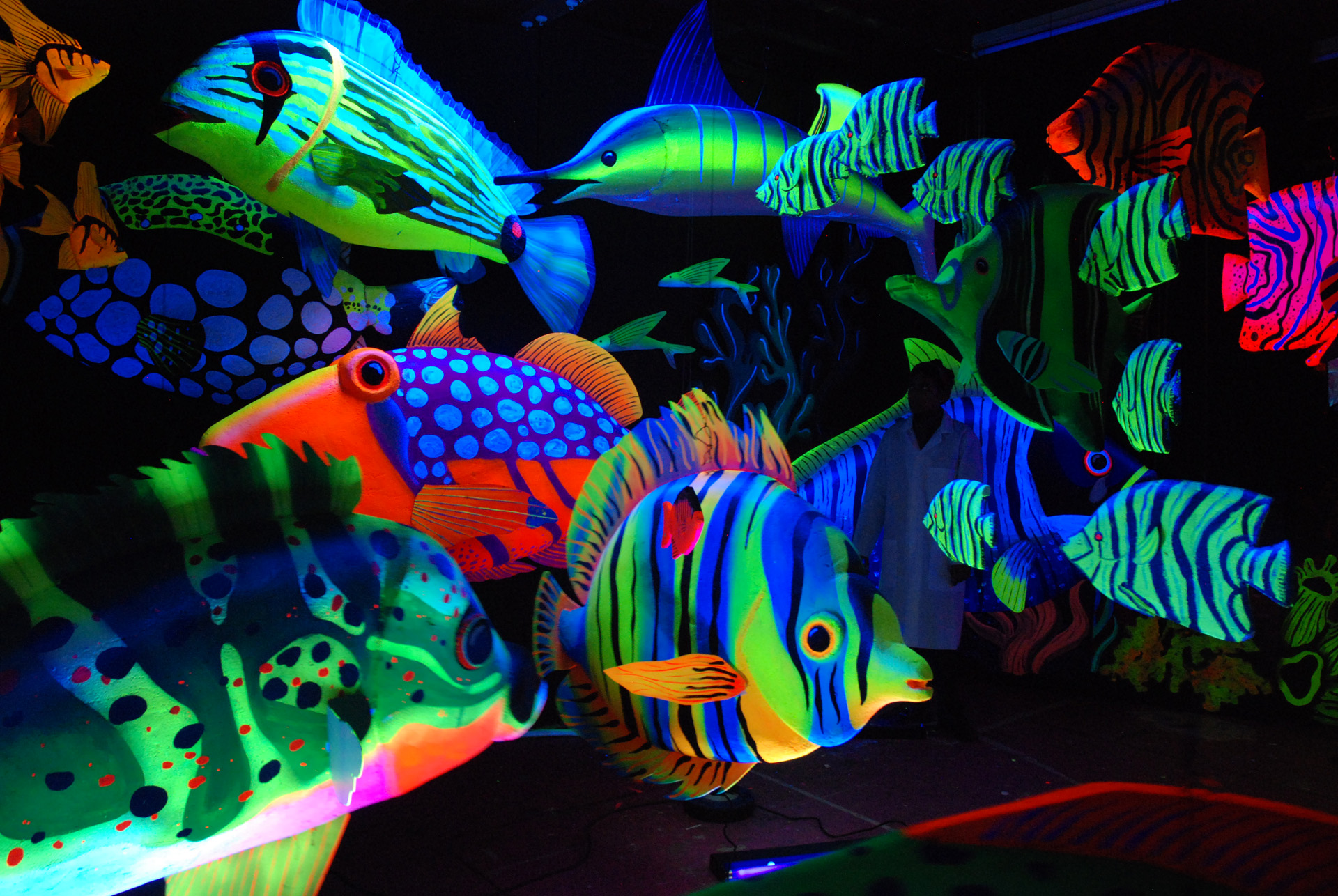 Visual Impact » Themed Events