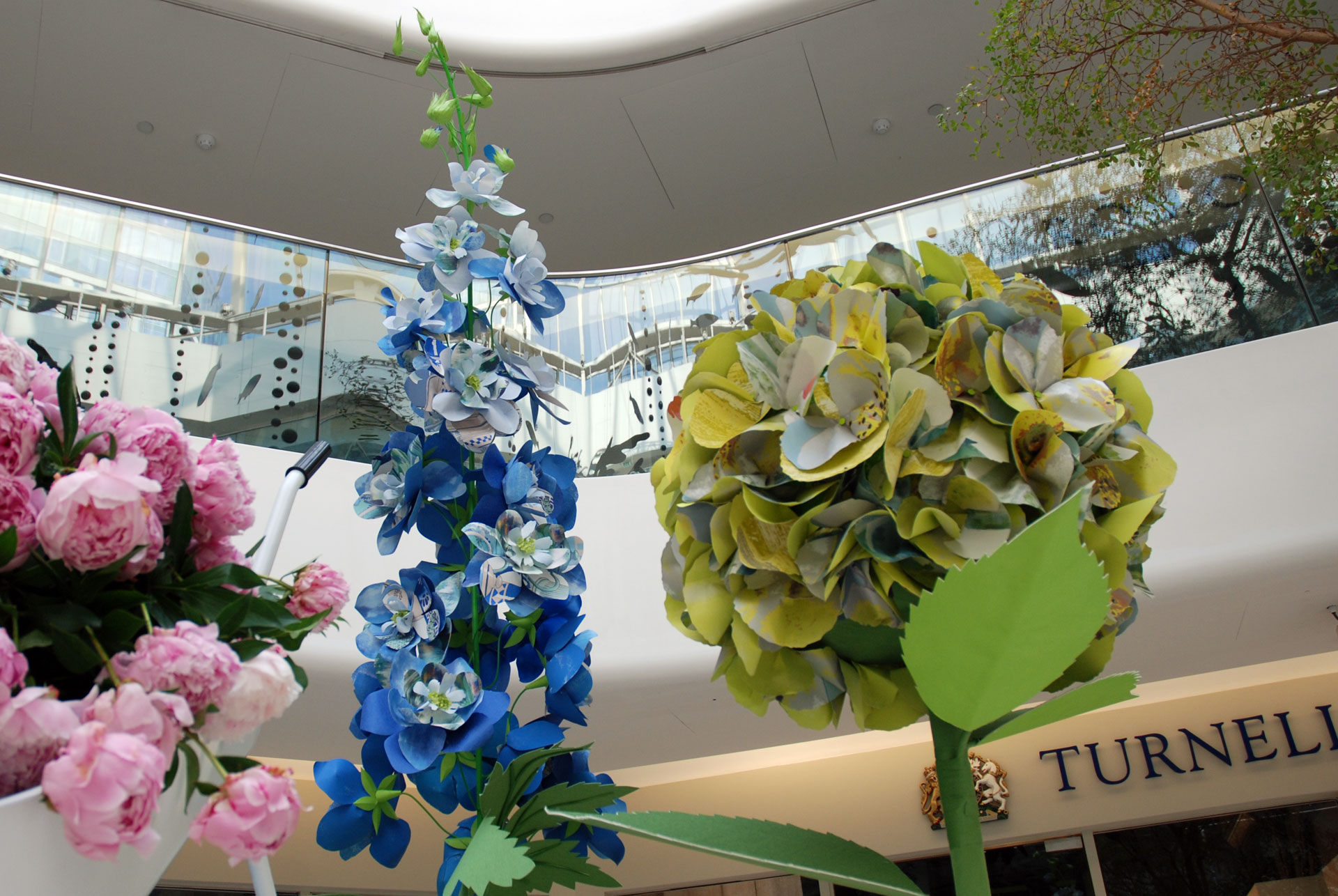 Visual Impact » Props