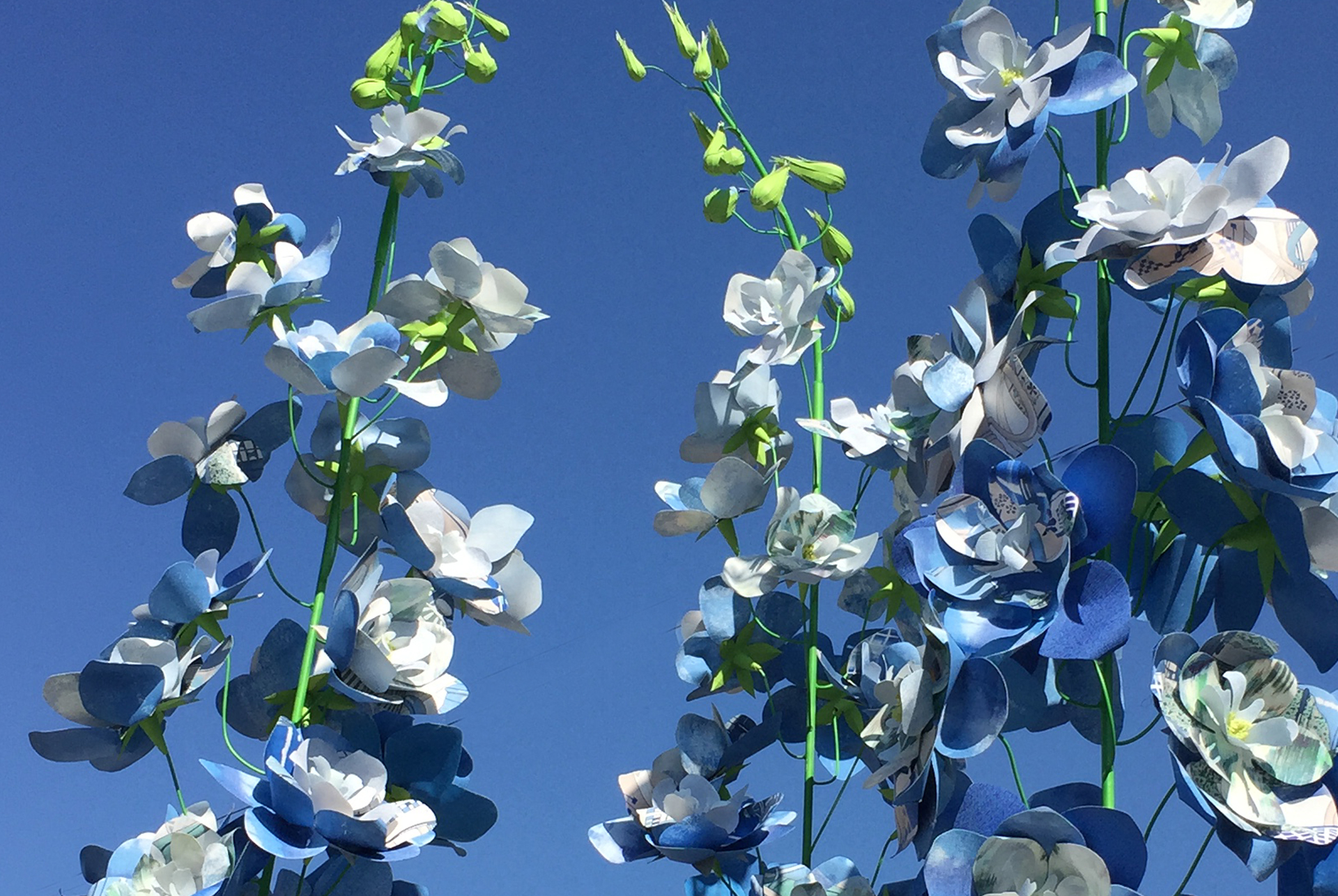 Visual Impact » Props